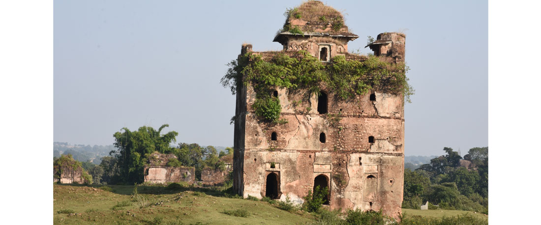 Archaeological Survey of India